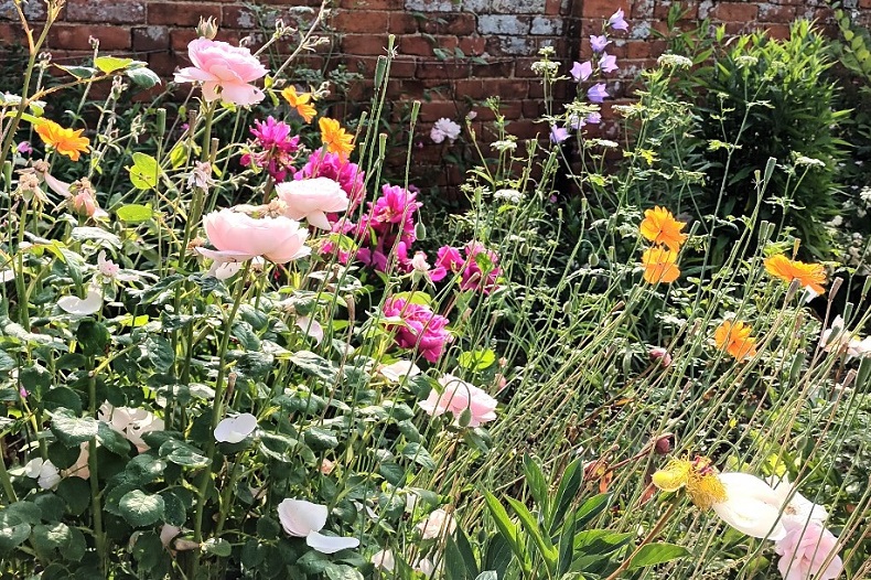 Chelsworth Open Gardens